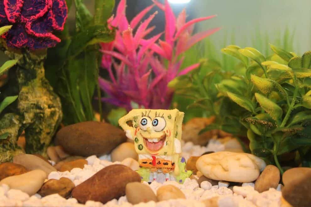 25+ Spongebob Trivia Questions & Answers (Fun Quiz)